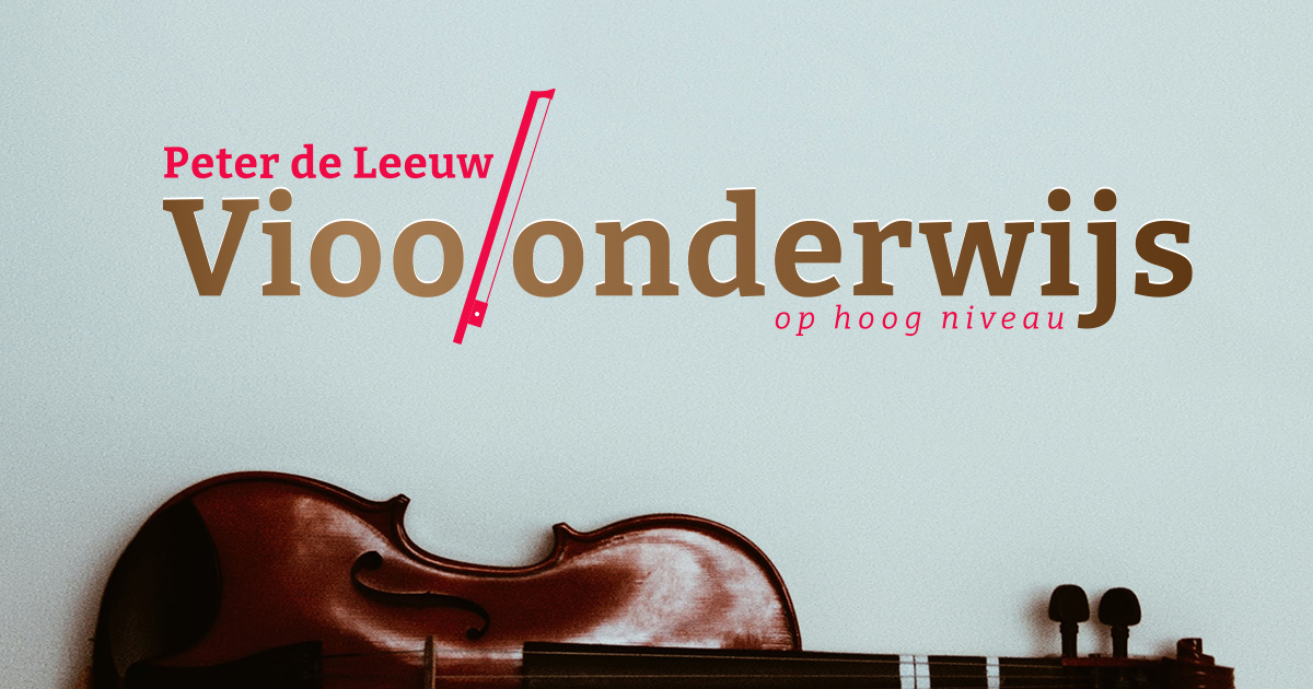 Vioolles op hoog niveau in Heiloo | Peter de Leeuw